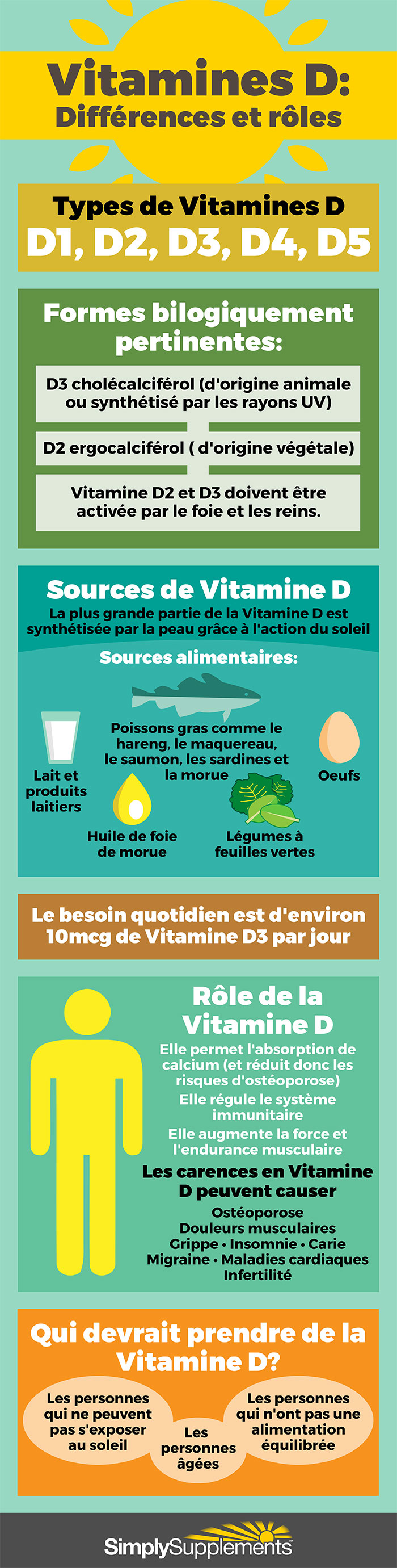 Quels Sont Les Différents Types De Vitamines D – MNISES
